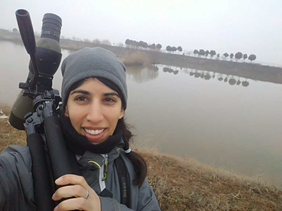 Episode 47: The complex web of factors that influence bird migration ...